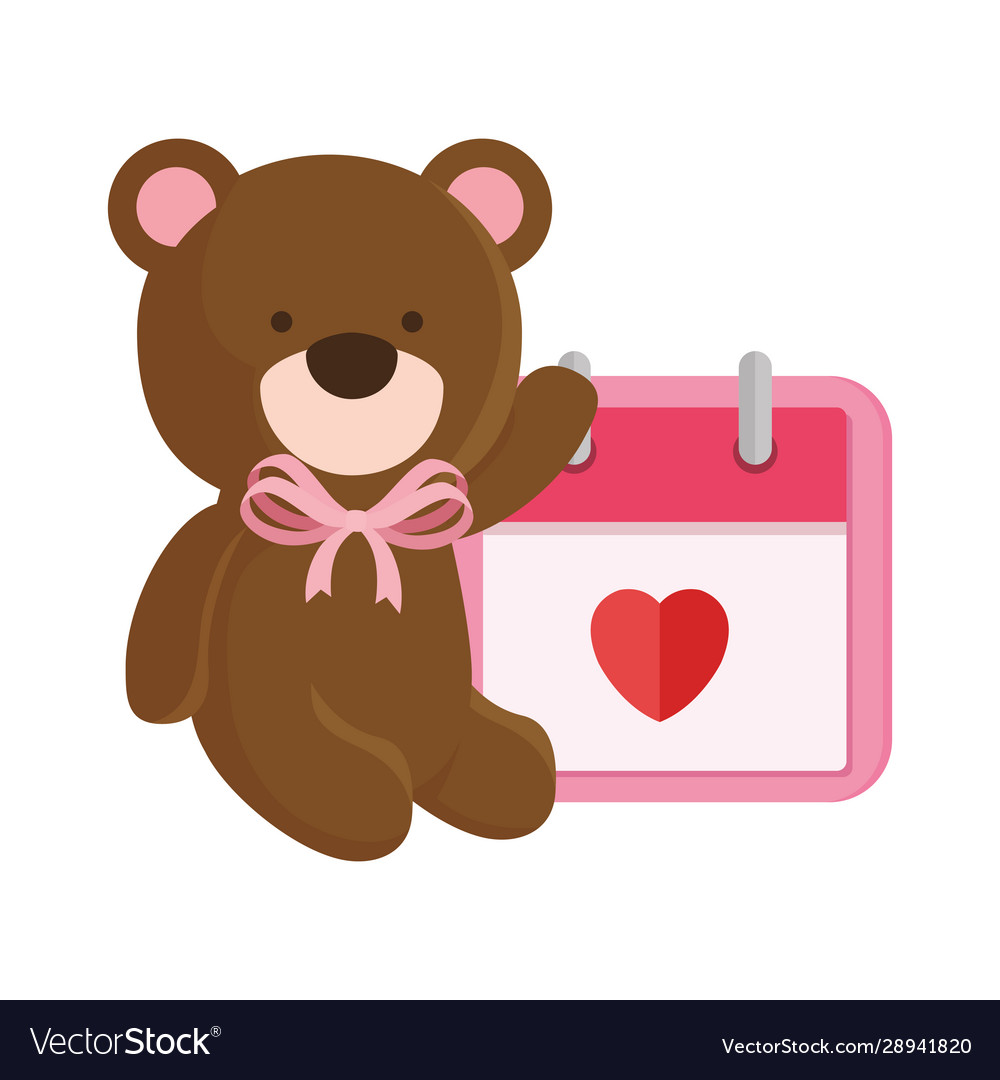 Cute teddy bear with calendar isolated icon Vector Image