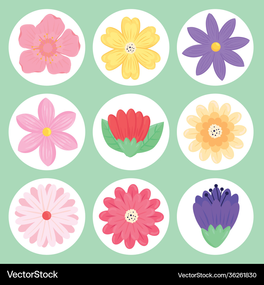 Bundle nine beauty flowers spring season set Vector Image