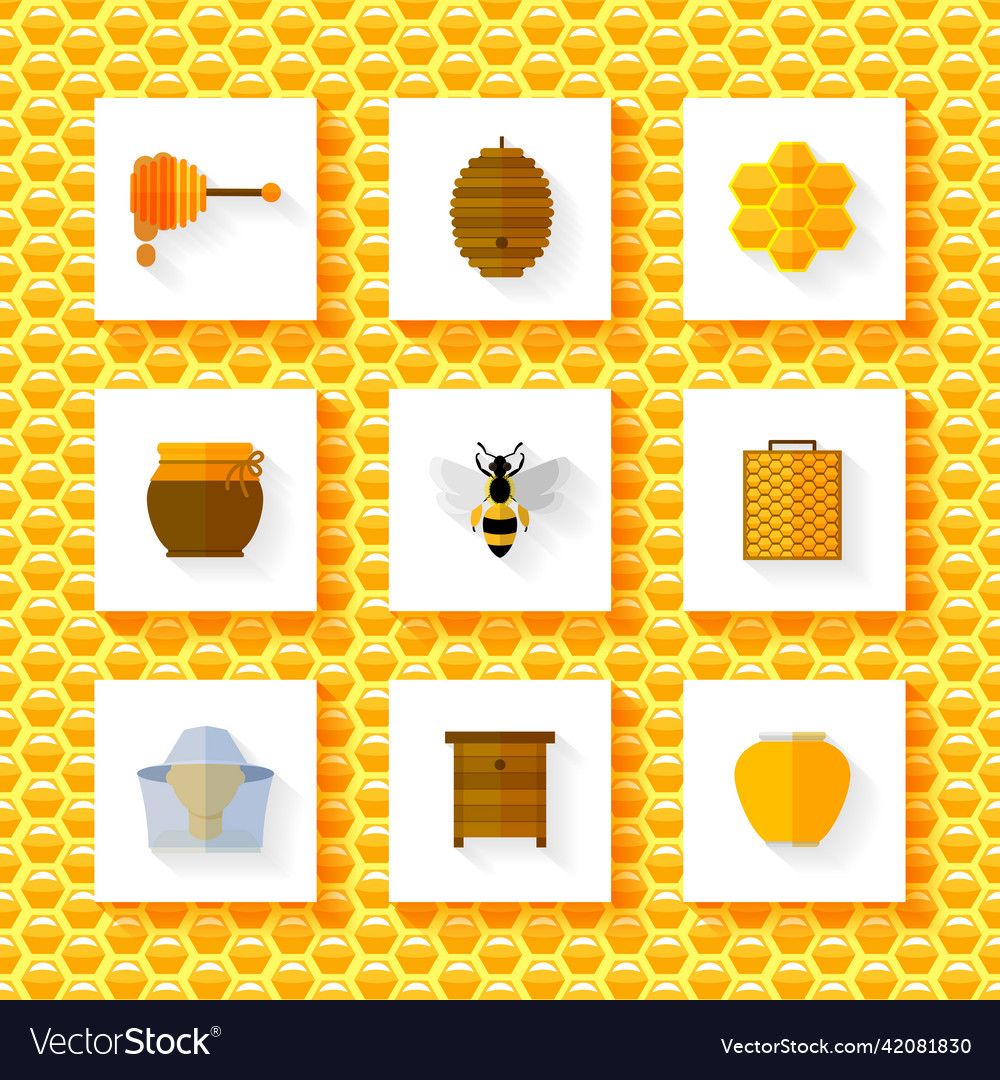 Honey elements set Royalty Free Vector Image - VectorStock
