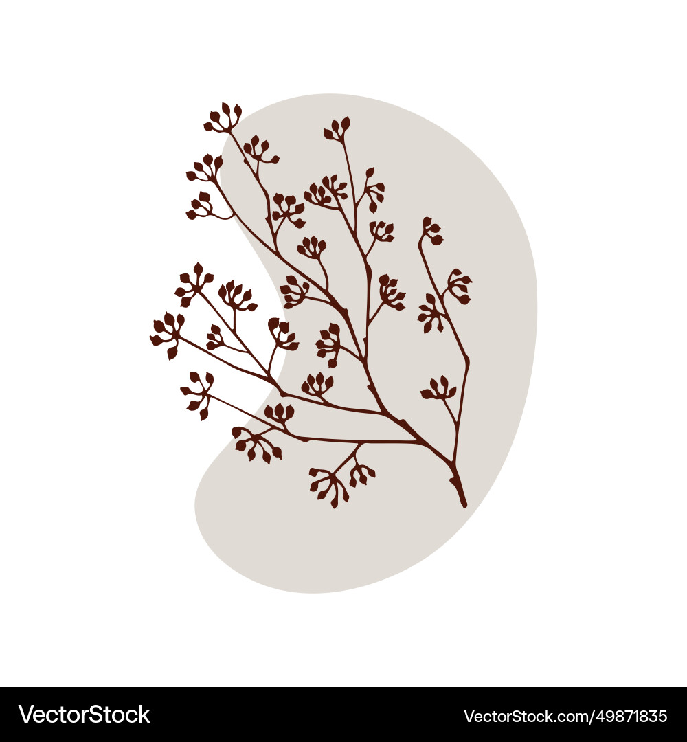 Dry branch plant isolated Royalty Free Vector Image