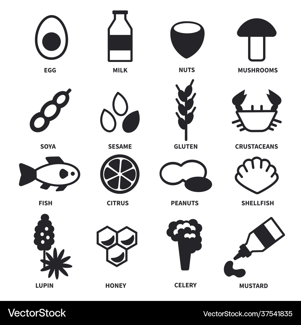 Large set black and white icons with main Vector Image