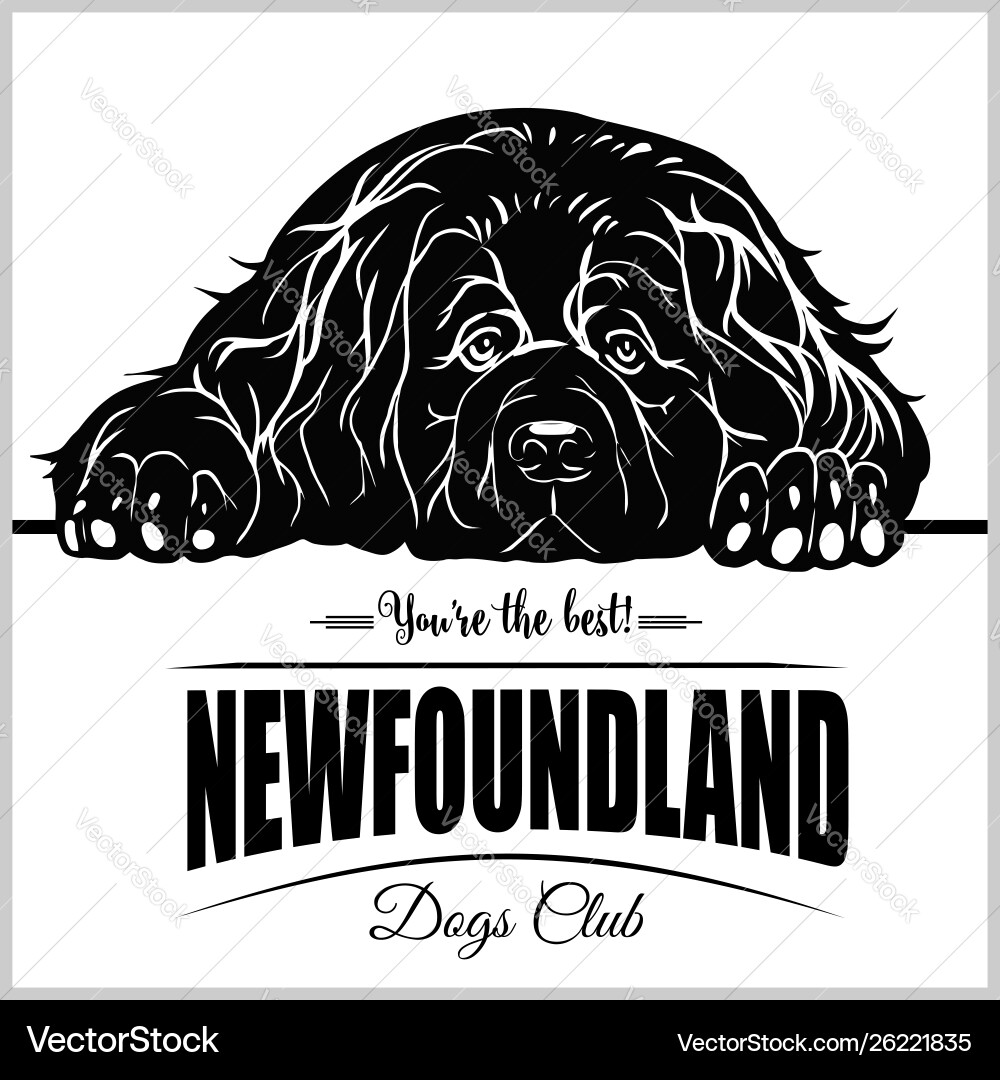 Newfoundland - for t-shirt Royalty Free Vector Image