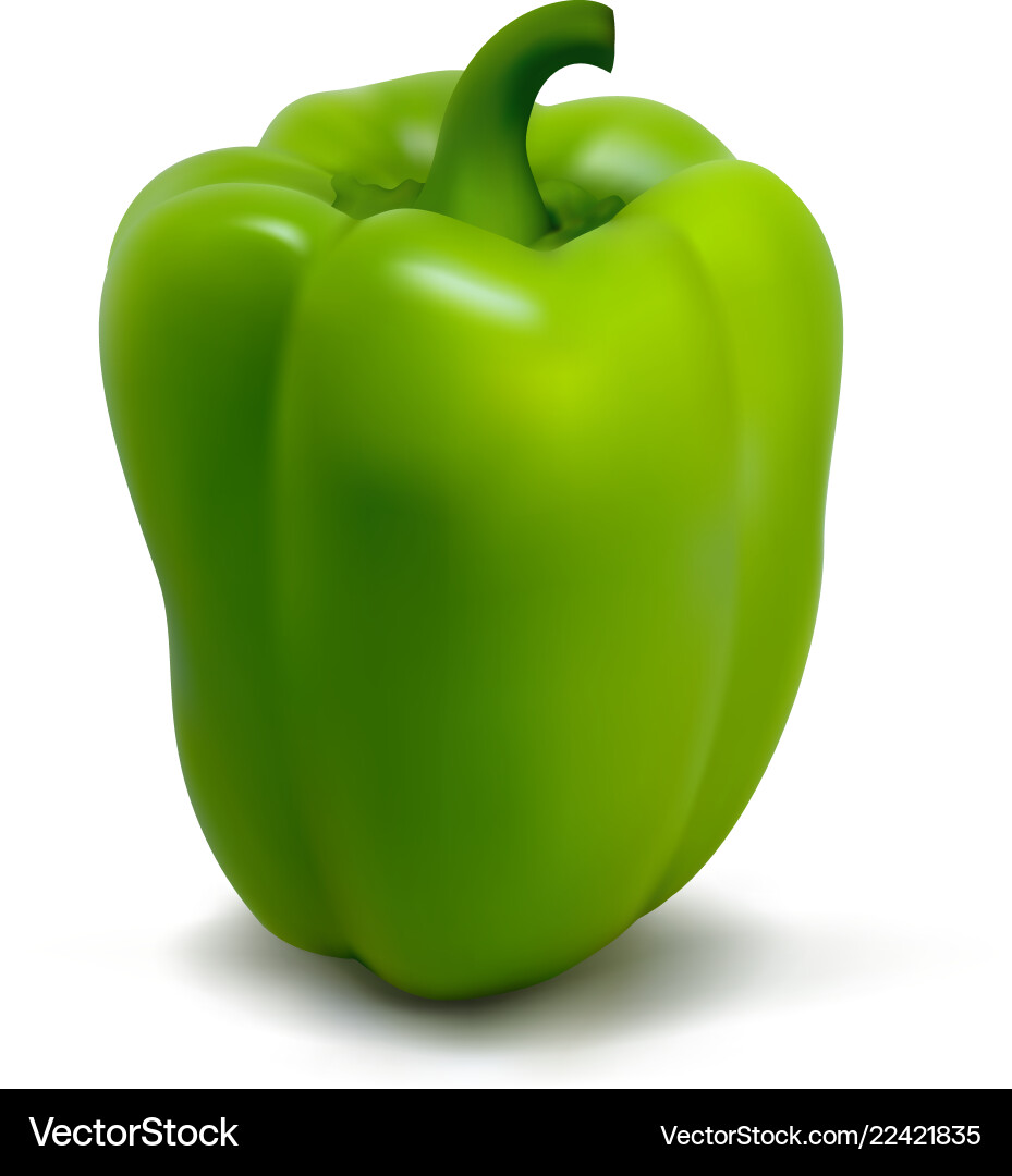 Photo-realistic fresh pepper on a white Royalty Free Vector