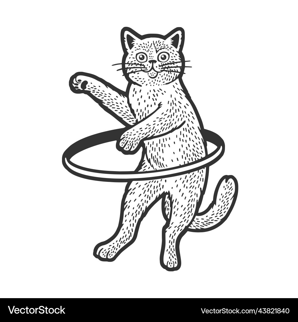 Cat spins a hula hoop sketch Royalty Free Vector Image