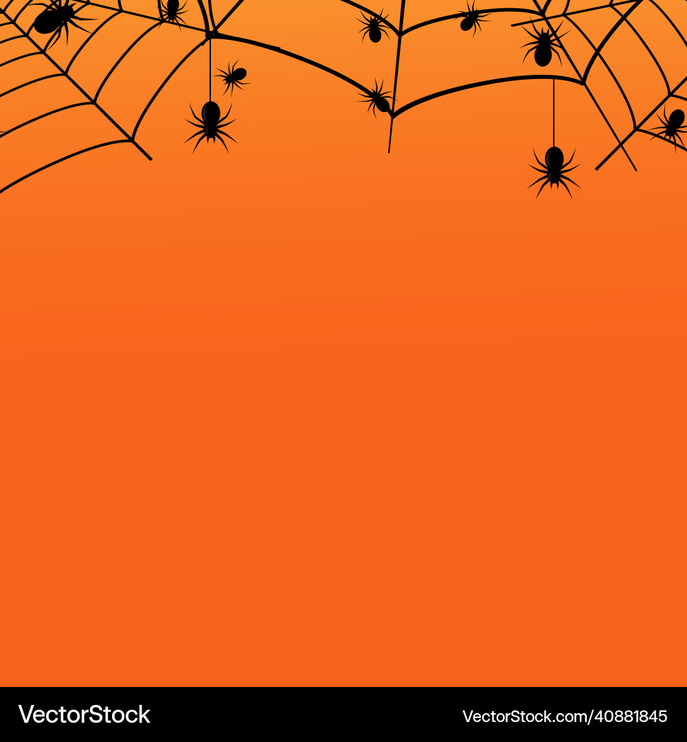 Halloween background with spider and cobweb Vector Image
