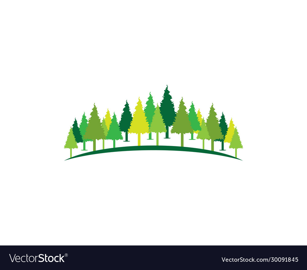 Pine tree icon Royalty Free Vector Image - VectorStock