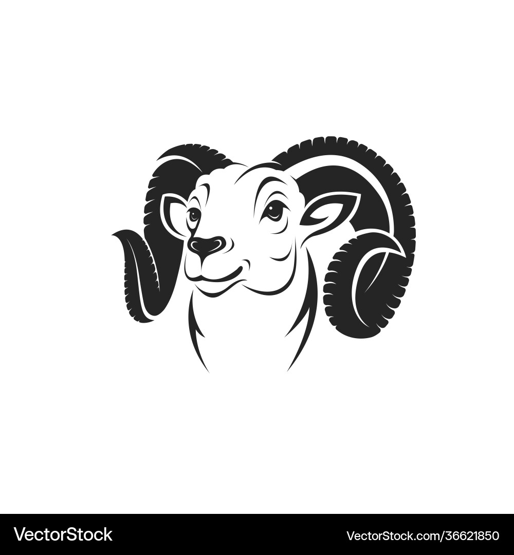 Bighorn ram head on white background Royalty Free Vector