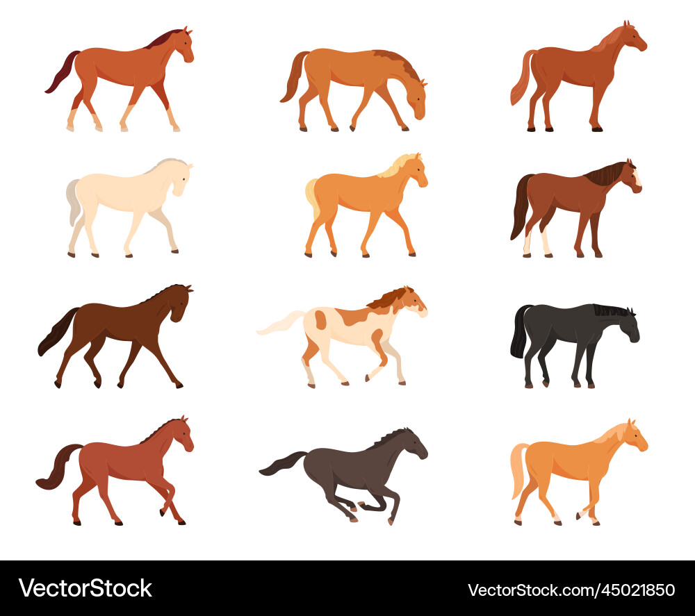 Domesticated horses animals for work walks Vector Image