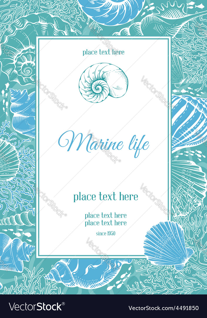 Shell background Royalty Free Vector Image - VectorStock