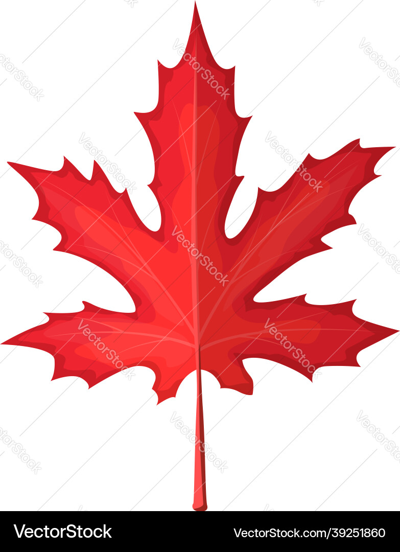 Autumn maple leaf cartoon isolated icon Royalty Free Vector