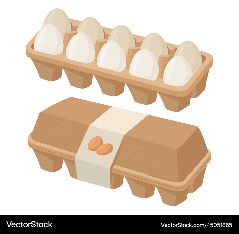 Chicken eggs packaging cartoon grocery store eggs Vector Image