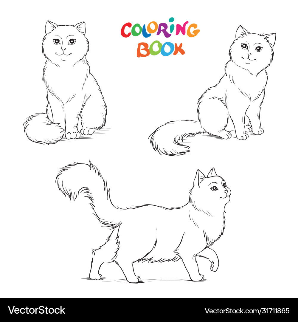 Coloring book or page with a three cute fluffy Vector Image