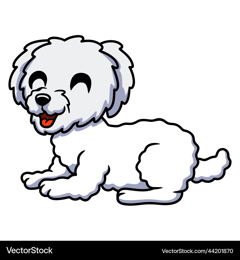 Cute bichon frise cartoon laying down Royalty Free Vector