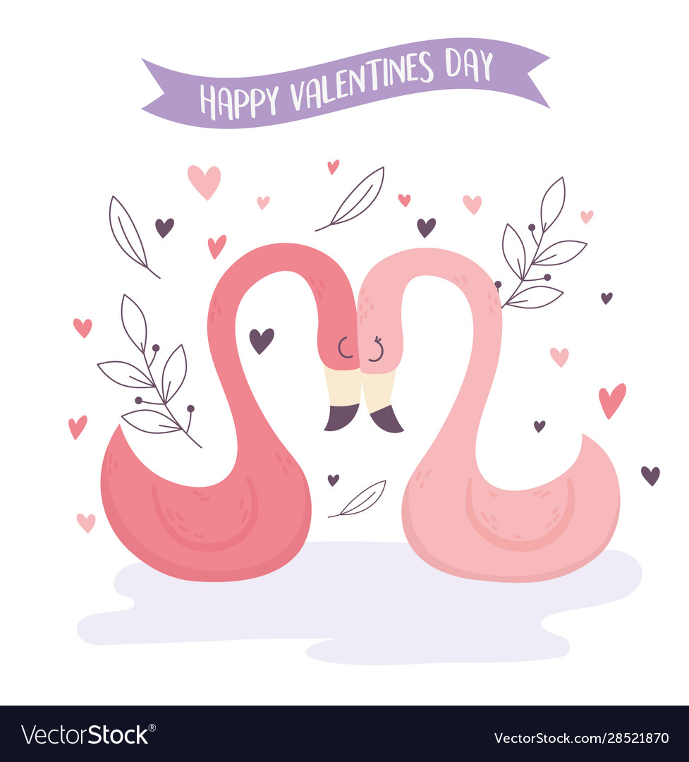 Happy valentines day cute flamingos floral Vector Image