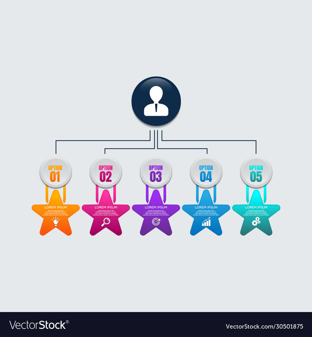 Business data visualization process chart Vector Image