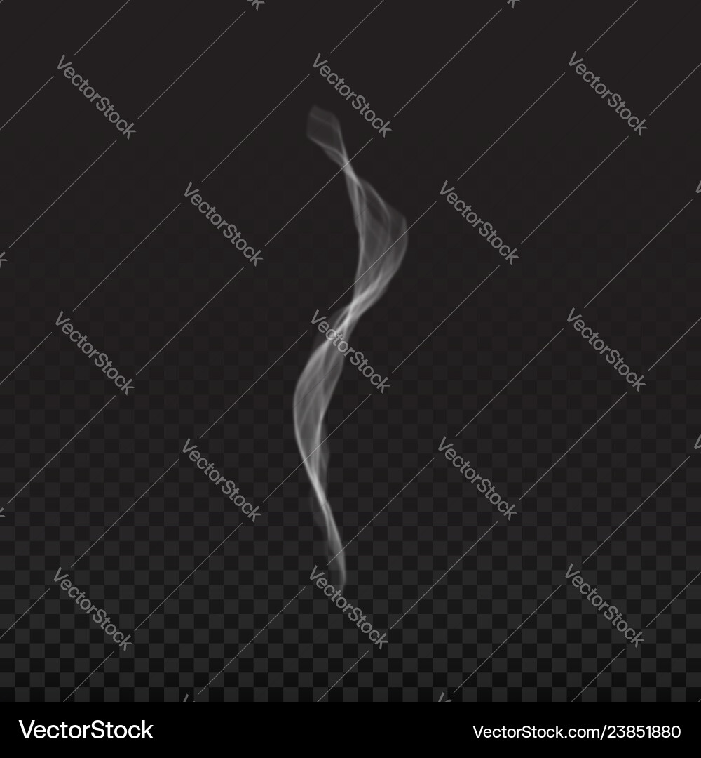 Realistic smoke wave from cigarette or vapor Vector Image