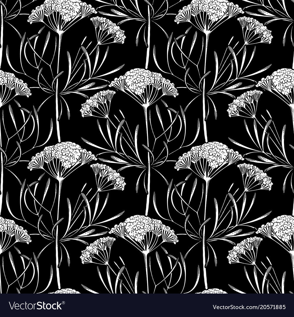 Graphic cumin pattern Royalty Free Vector Image