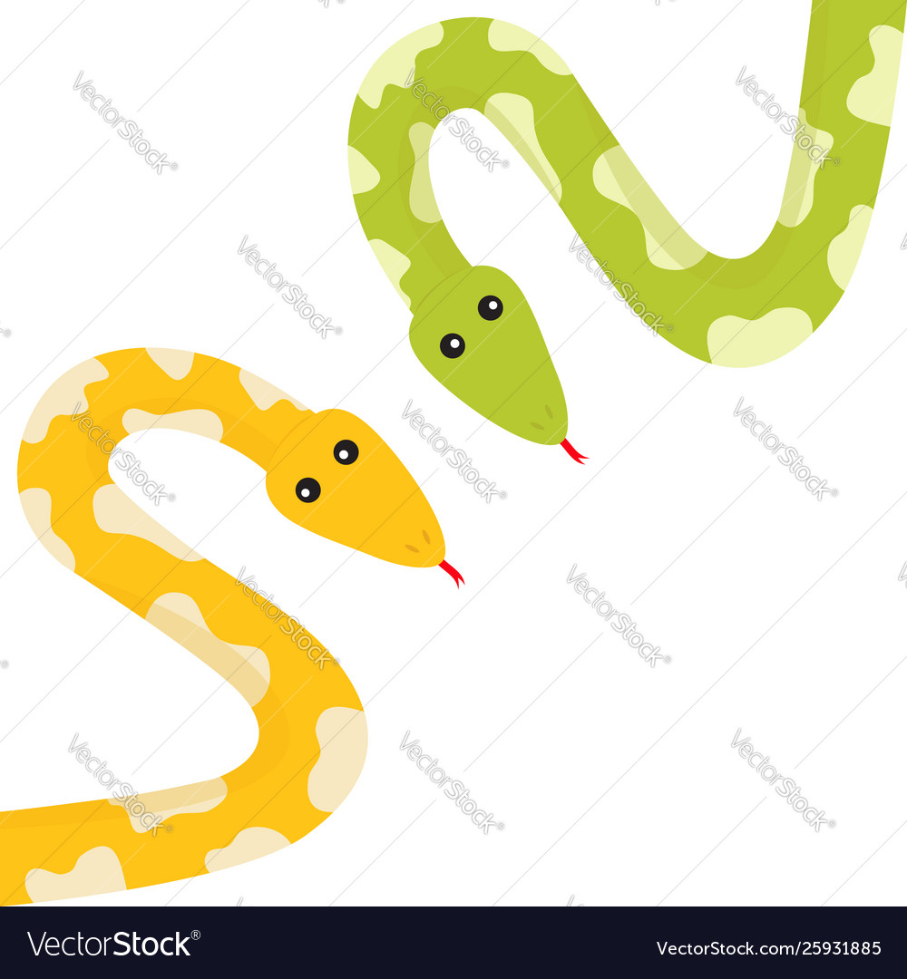 Yellow green python snake set with tongue golden Vector Image
