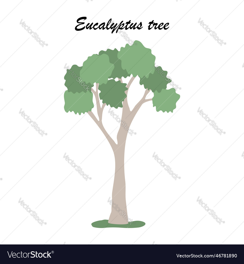 One eucalyptus tree icon flat style Royalty Free Vector