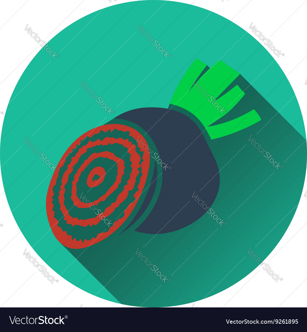 Beetroot icon Royalty Free Vector Image - VectorStock