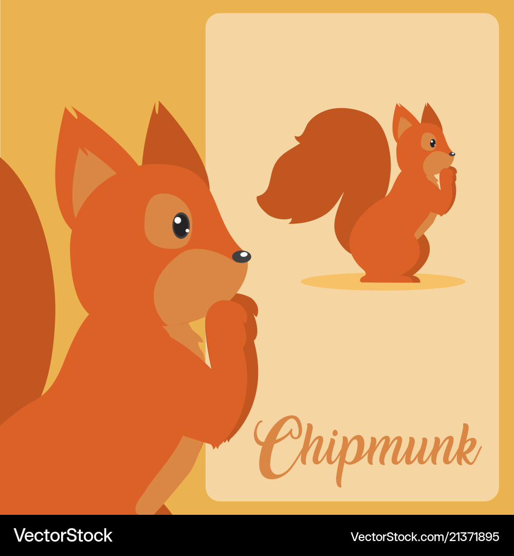 Chipmunk cute animal cartoon Royalty Free Vector Image