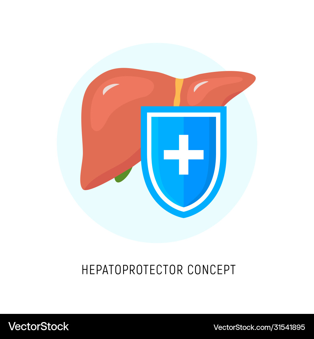 Hepatoprotector concept icon healthy liver flat Vector Image