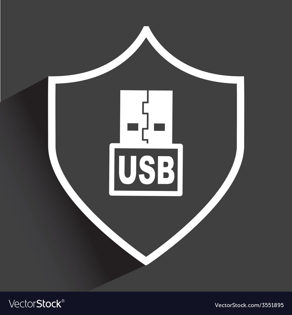Usb security Royalty Free Vector Image - VectorStock