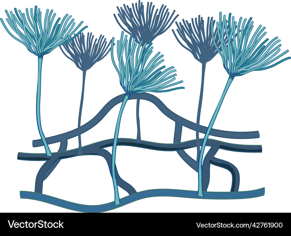 A close up fungus spores Royalty Free Vector Image