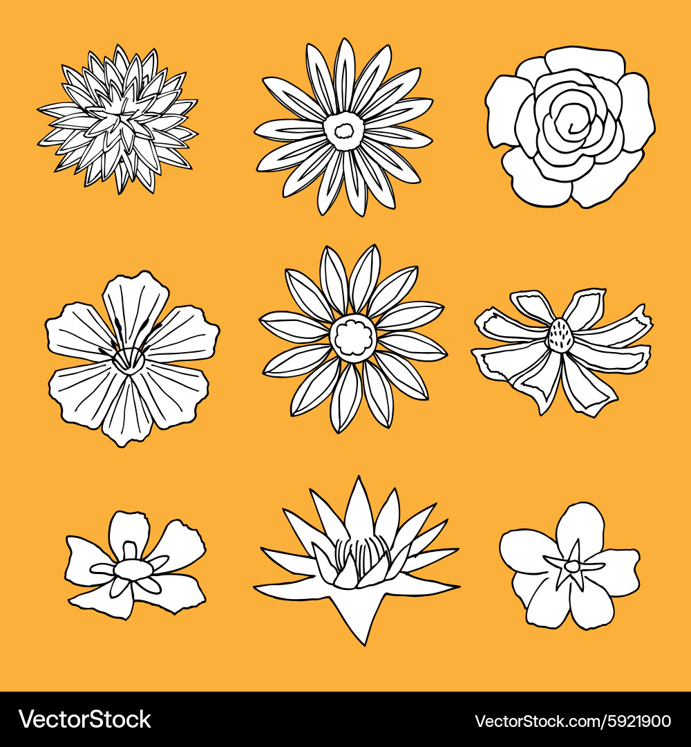 Set of flower isolated Royalty Free Vector Image