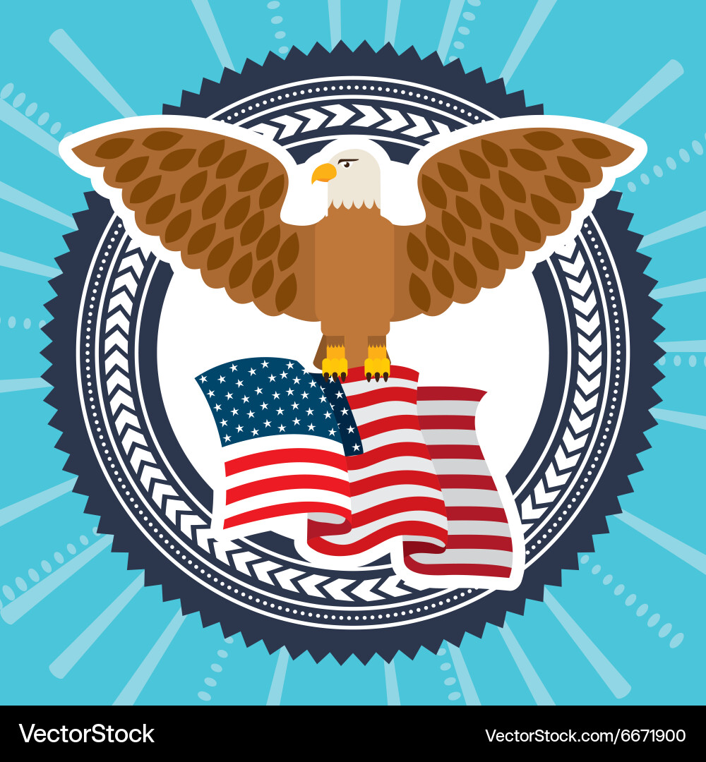 United states design Royalty Free Vector Image