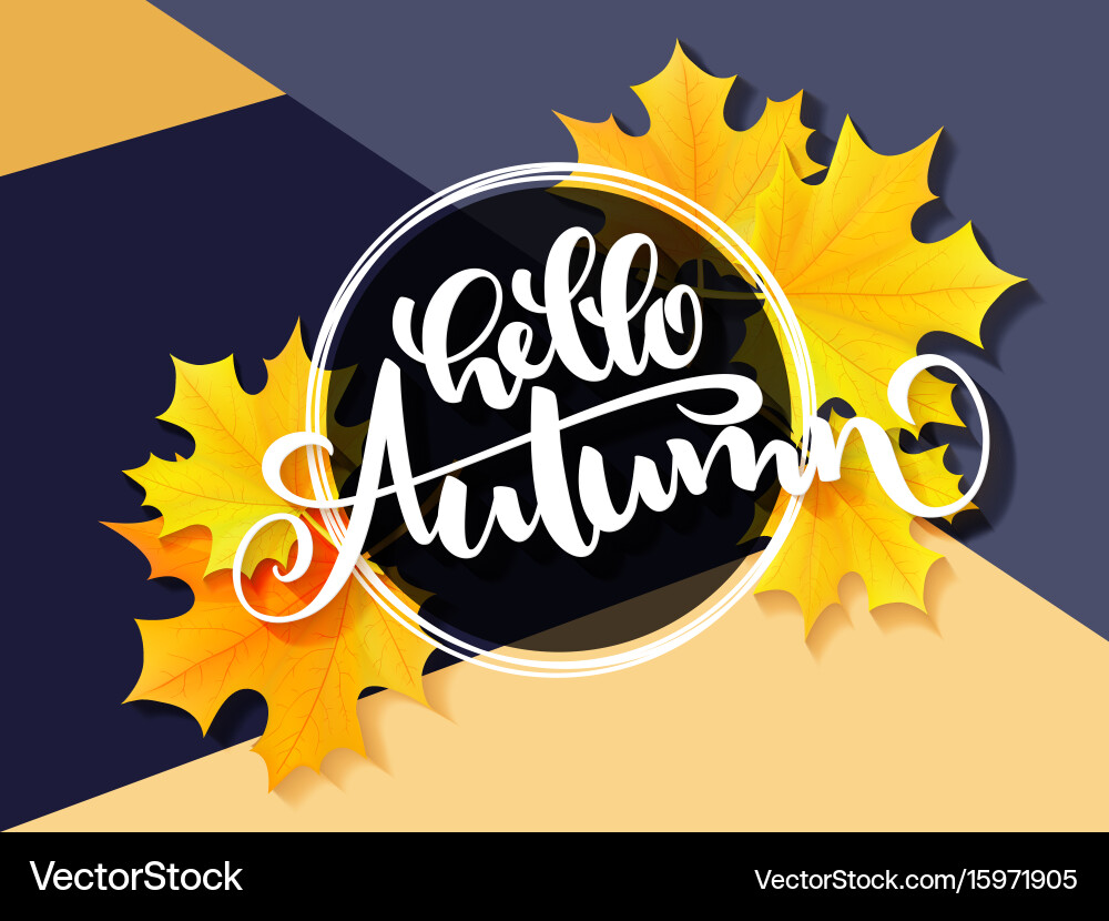 Banner with hand lettering label - hello Vector Image