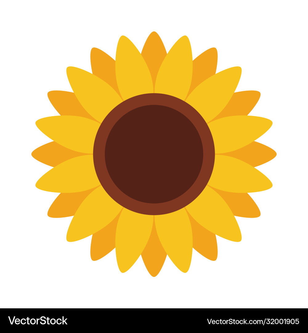 Sunflower cute icon in flat style on white Vector Image