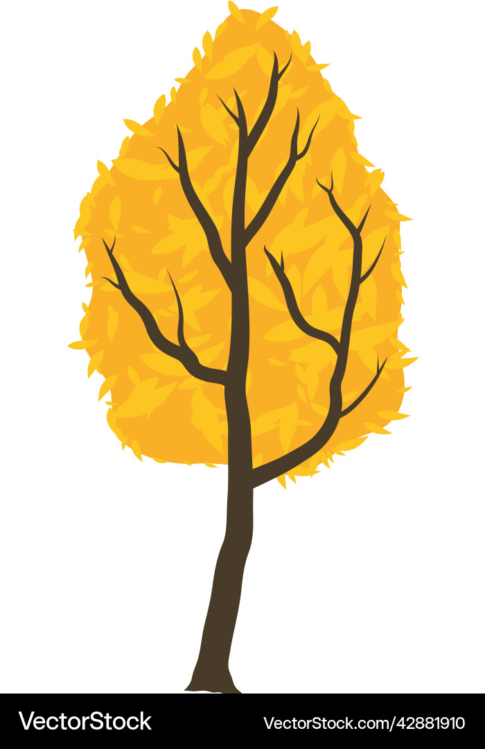 Autumn season yellow tree Royalty Free Vector Image