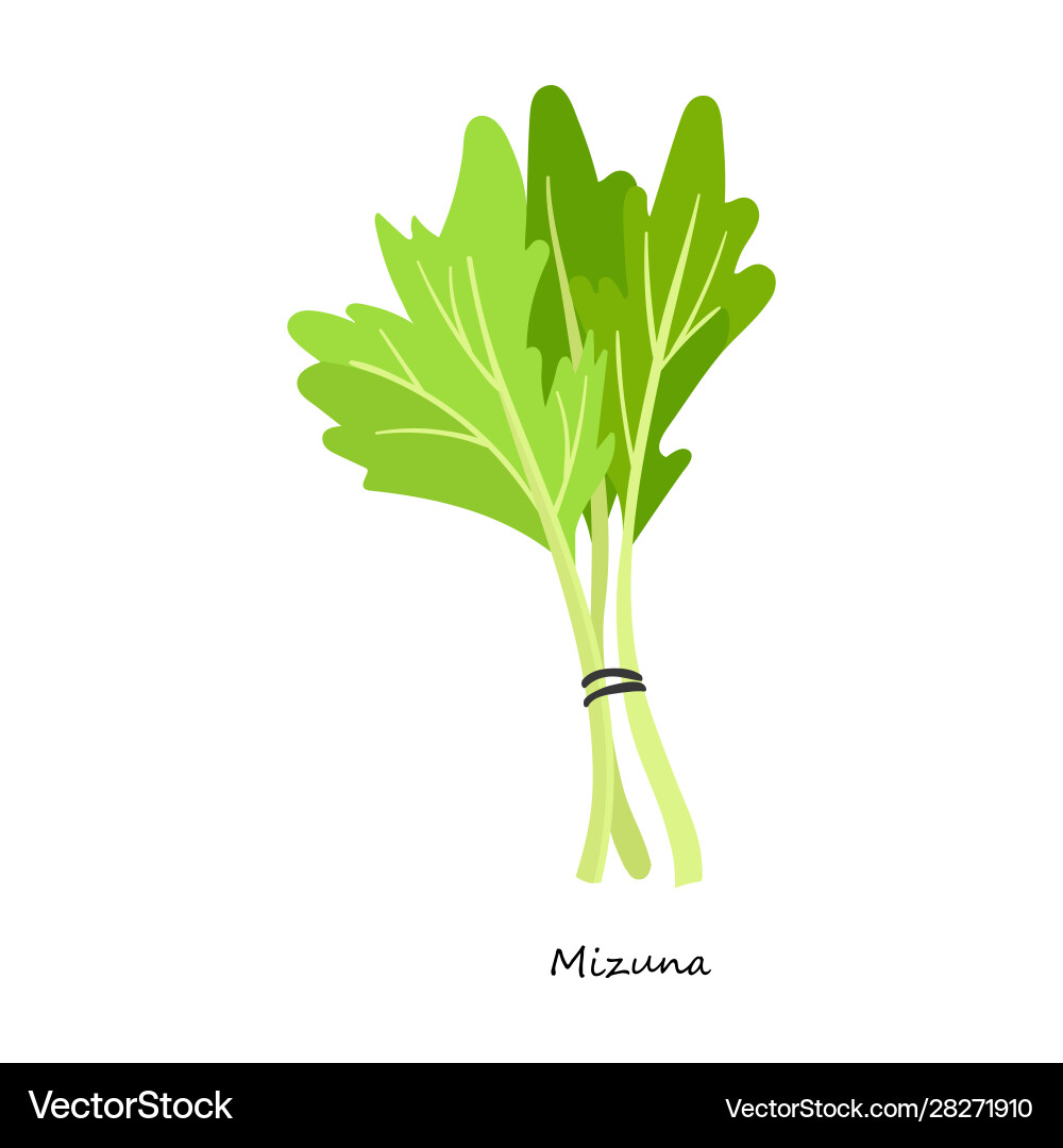 Mizuna iconcartoon icon isolated Royalty Free Vector Image
