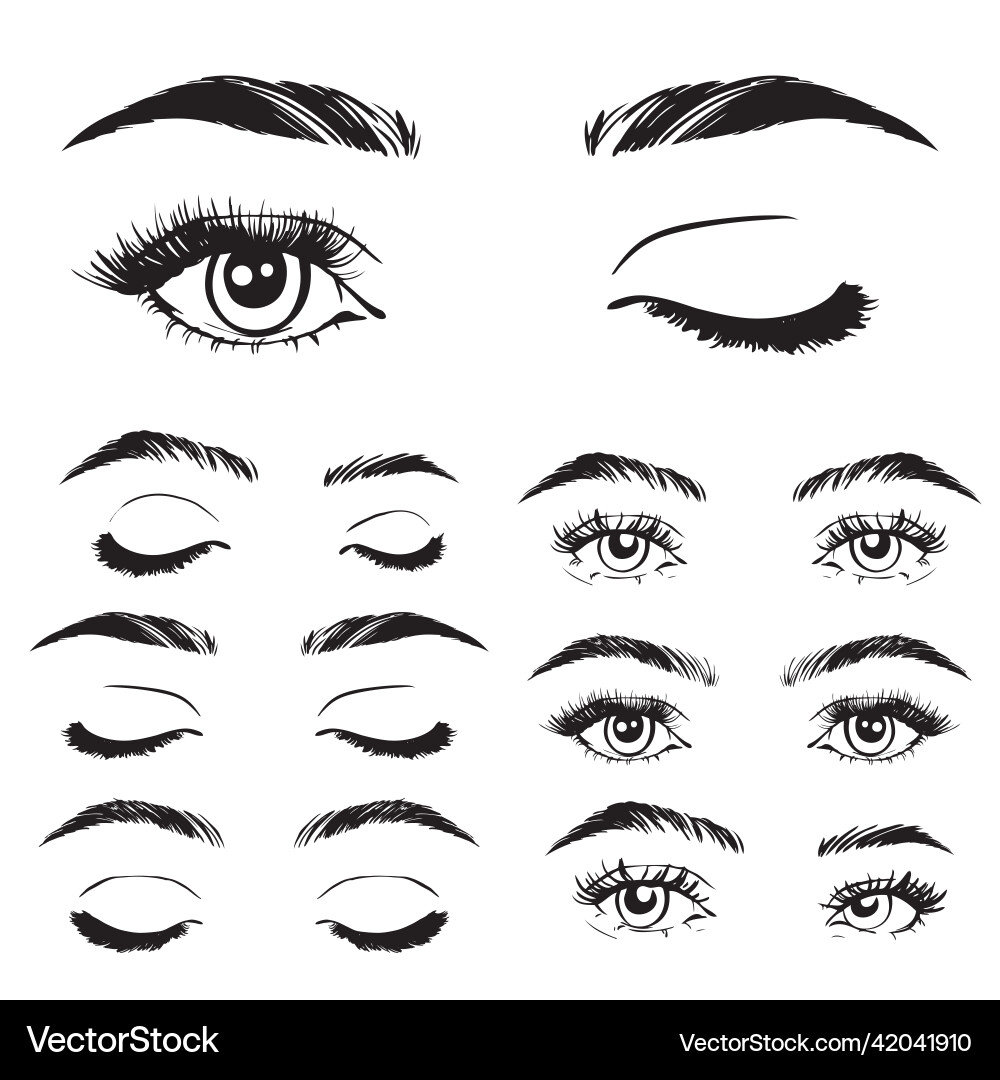 With womans eyes eyelashes and eyebrows makeup Vector Image