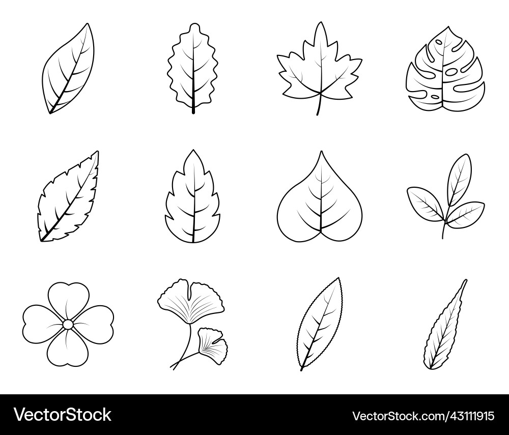Leaf outline icons set on white background Vector Image