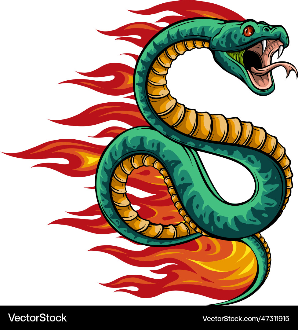 Of viper snake with flame Royalty Free Vector Image