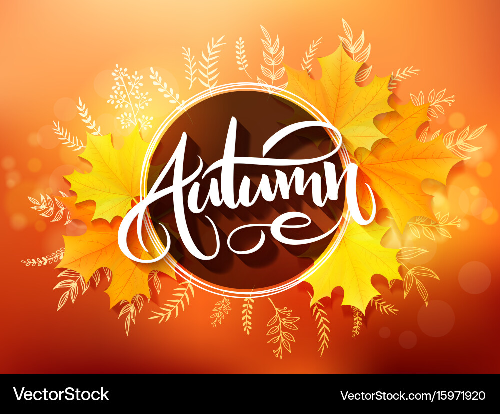 Banner with hand lettering label - autumn Vector Image