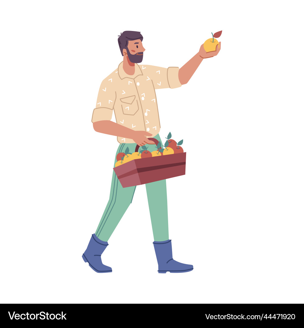 Farming man picking apples farmer with fruits Vector Image