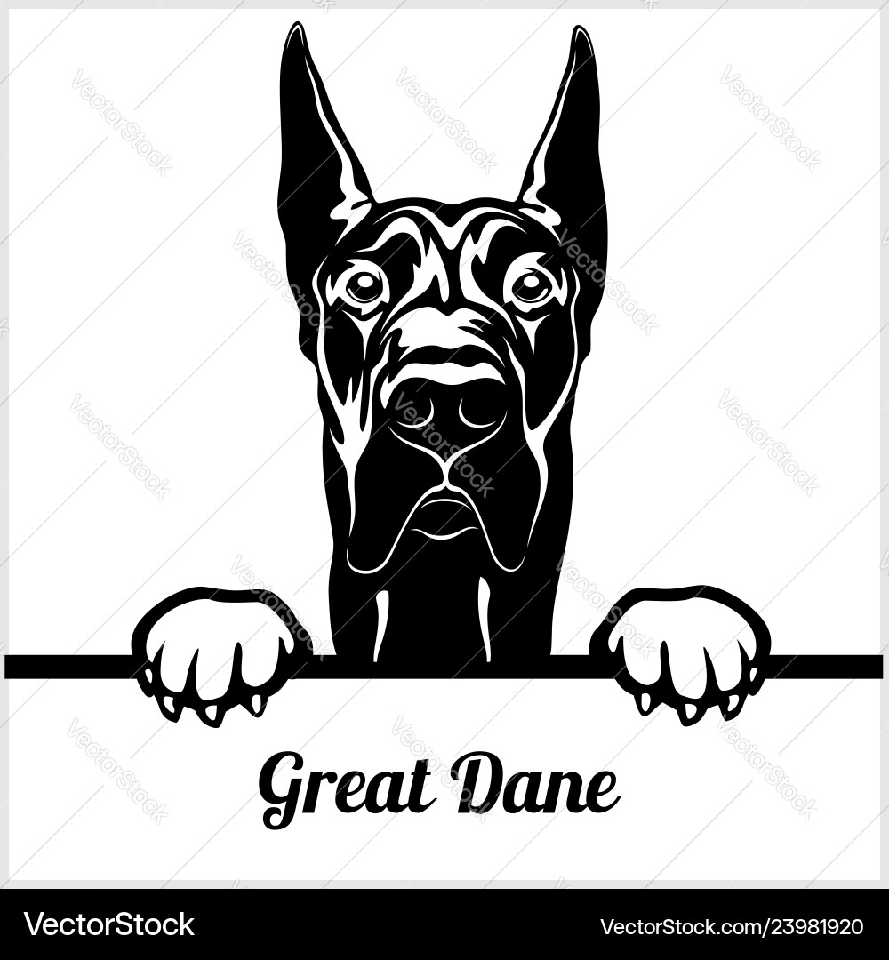 Great dane - peeking dogs breed face head Vector Image