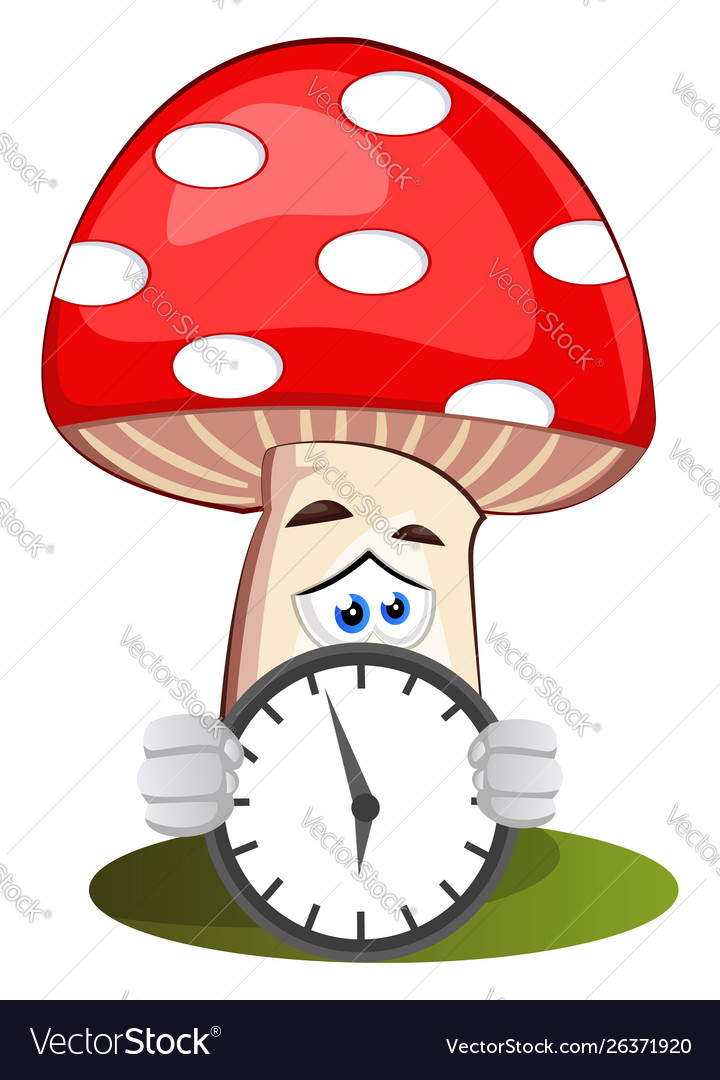 Mushroom with big clock on white background Vector Image