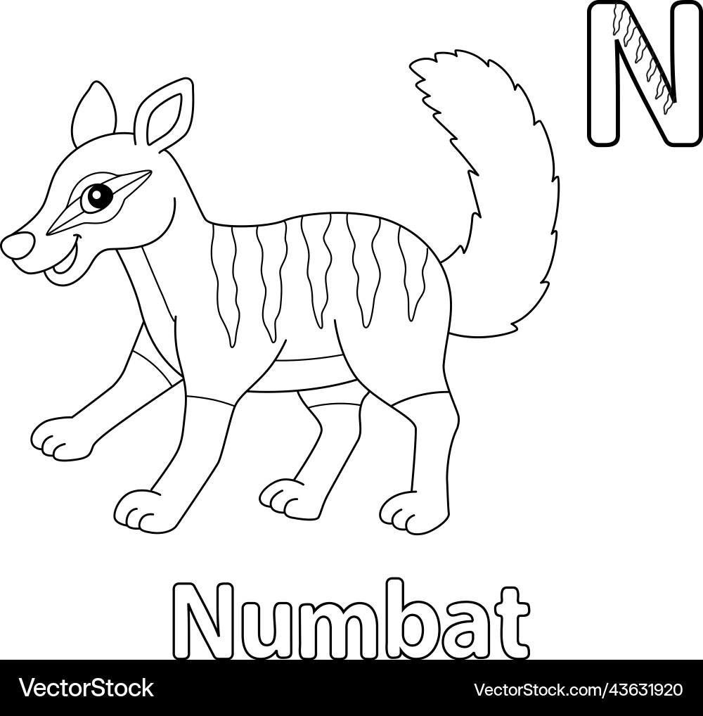 Numbat alphabet abc coloring page n Royalty Free Vector