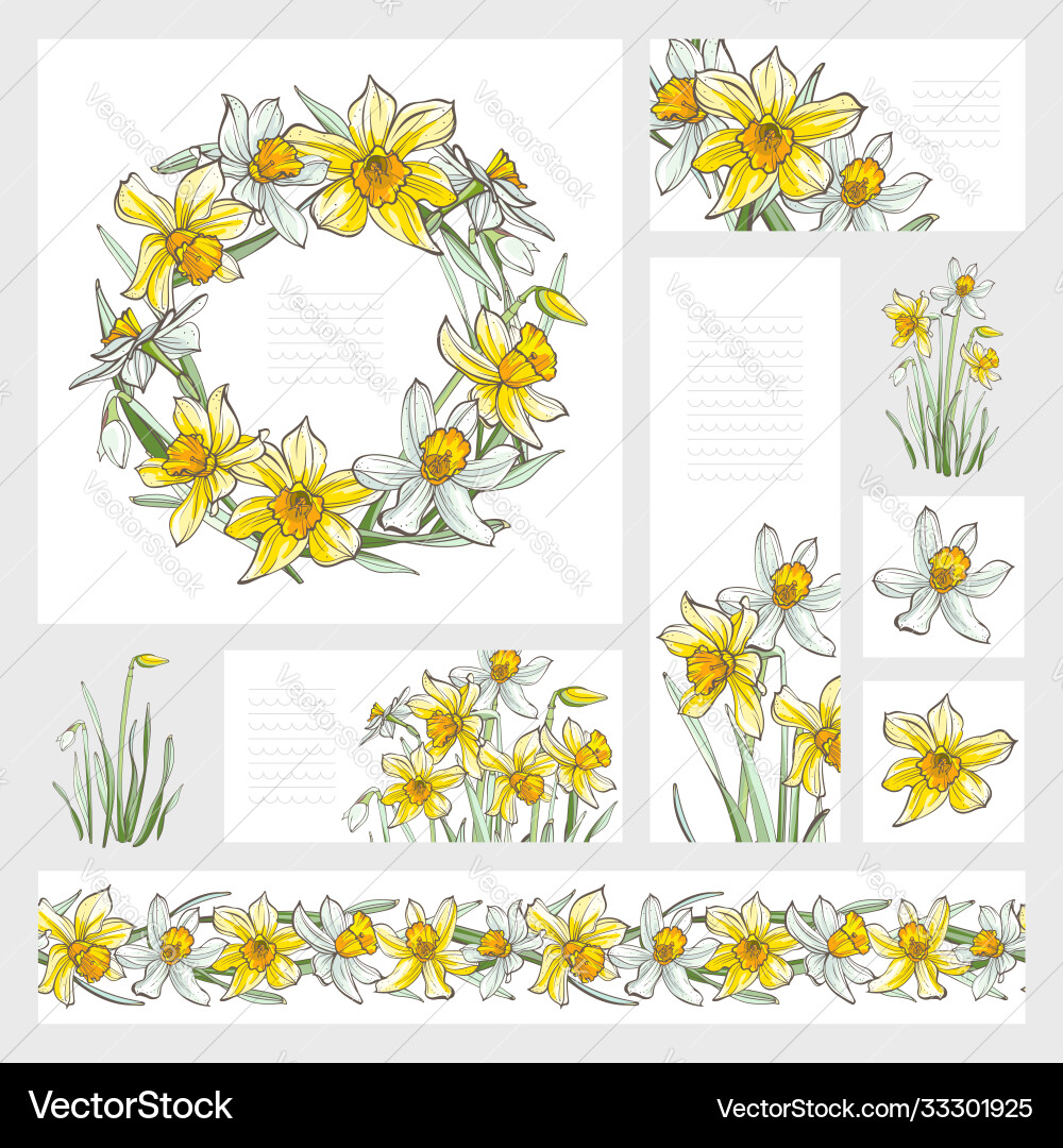 Banners - daffodil flowers isolated on white back Vector Image