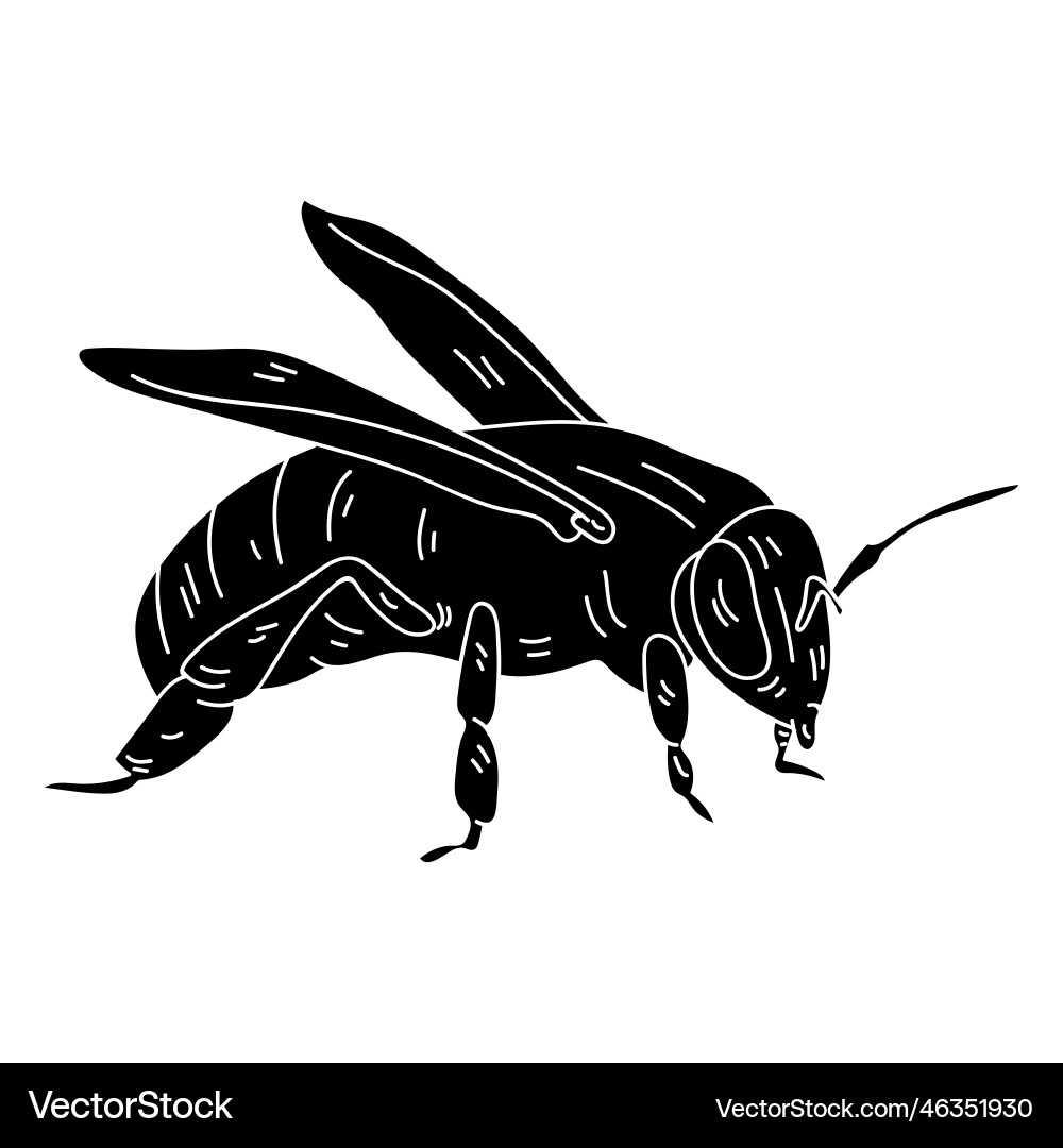 Bee wing leg wasp detailed silhouette Royalty Free Vector