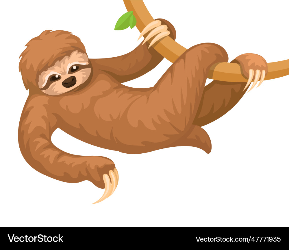 Sloth animal creature character cartoon Royalty Free Vector