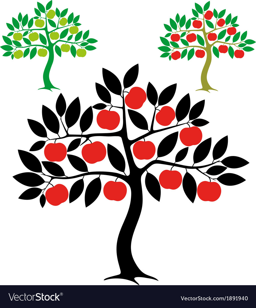 Apple tree Royalty Free Vector Image - VectorStock