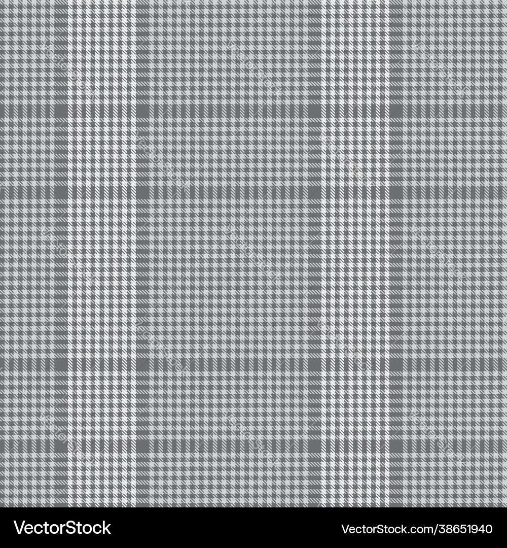 Black and white asymmetric plaid textured Vector Image