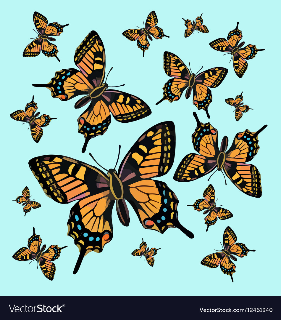 Butterfly pattern background Royalty Free Vector Image
