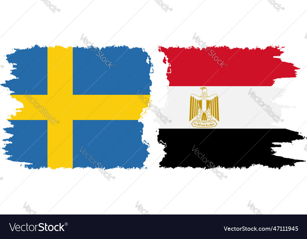 Egypt and sweden grunge flags connection Vector Image
