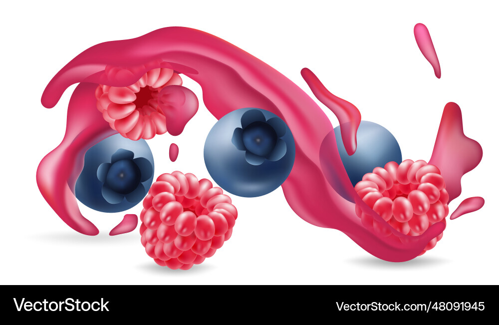 Realistic juicy blueberry and raspberry splash Vector Image